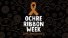Ochre Ribbon Week reminds us change is needed | Djirra – Sharing ...